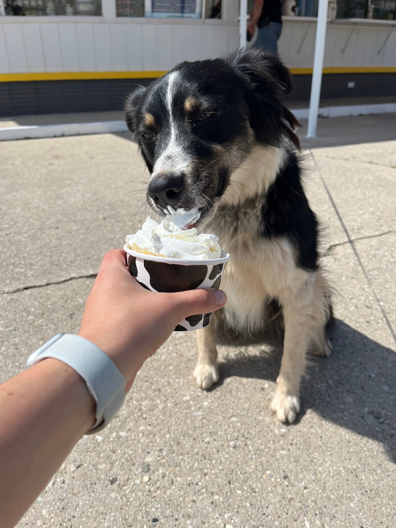 Gallery – Maple Buzz Cafe